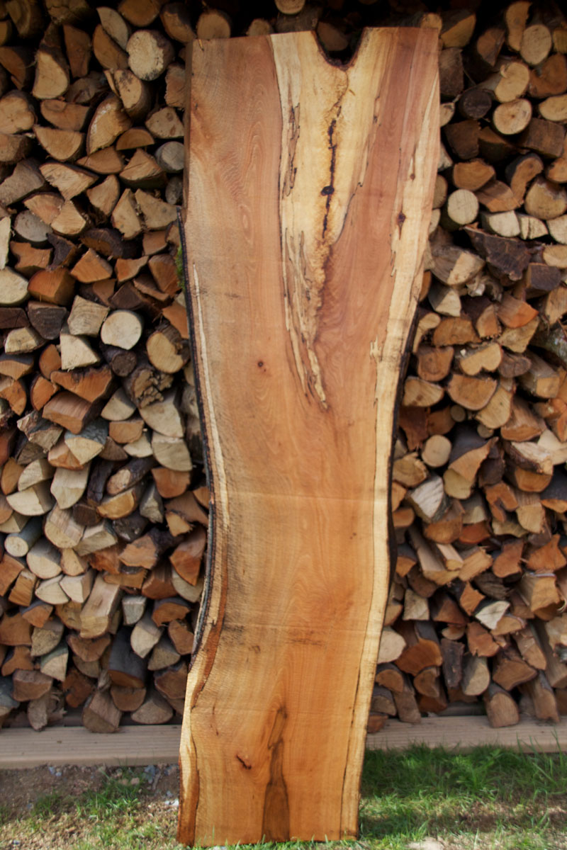 Spalted Beech live edge slab - SB207 :: The Board Room NI