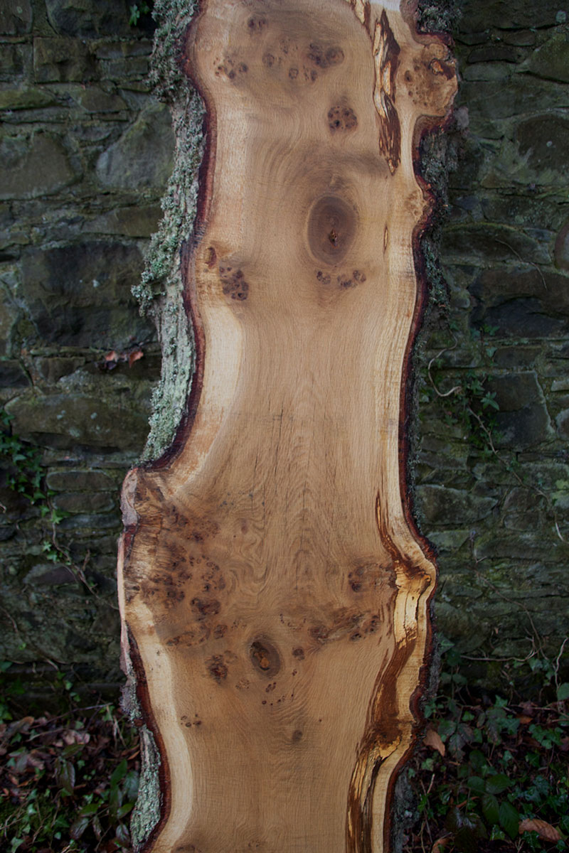 Live Edge Pippy Oak - OA301 :: The Board Room NI