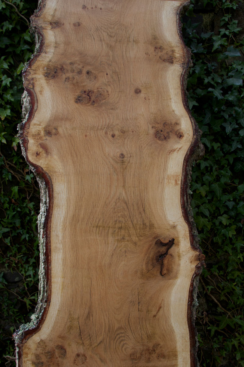 Live Edge Pippy Oak - OA303 :: The Board Room NI
