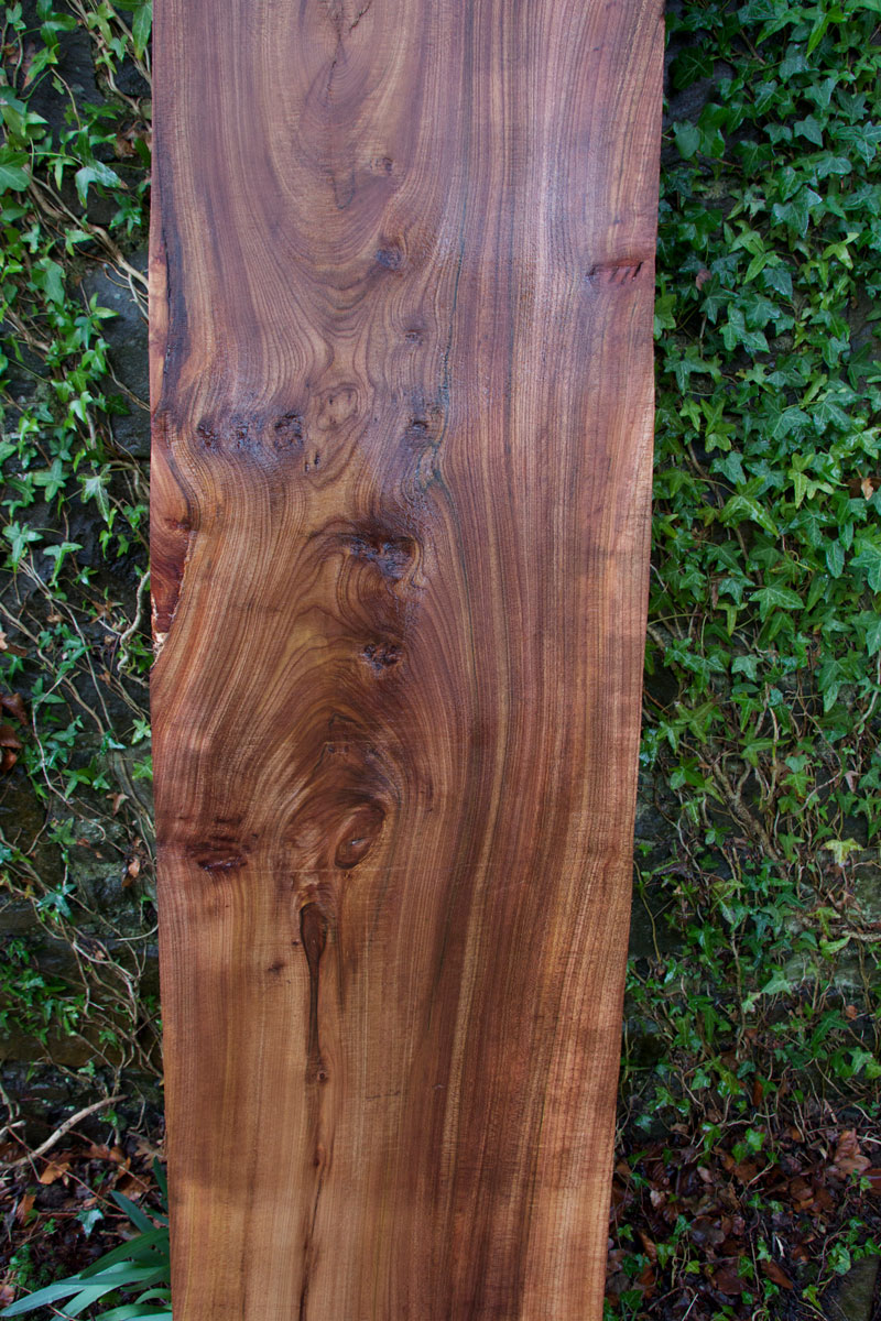 Wych Elm Board - E201 :: The Board Room NI