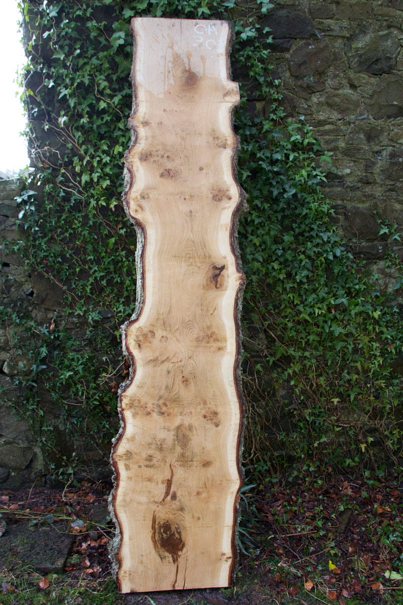 Live Edge Pippy Oak - OA303 :: The Board Room NI