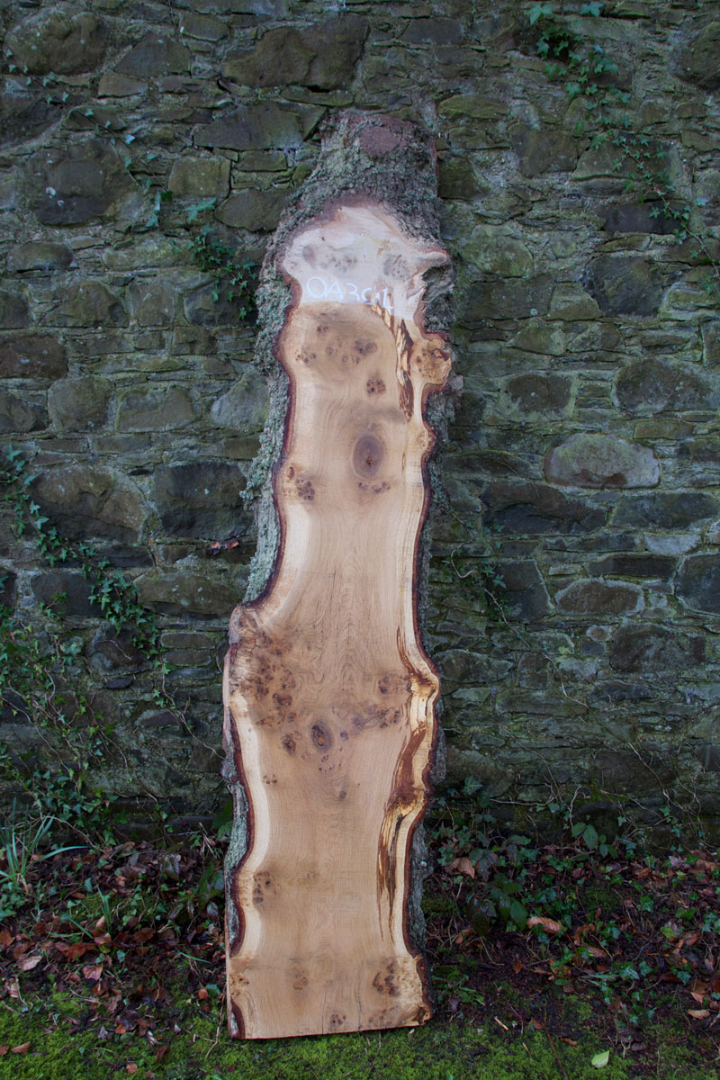 Live Edge Pippy Oak - OA301 :: The Board Room NI
