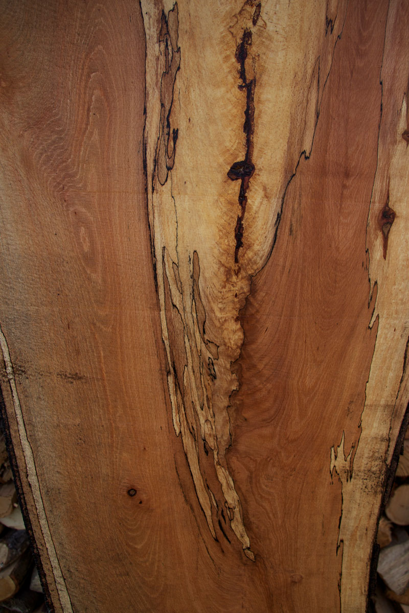 Spalted Beech live edge slab - SB207 :: The Board Room NI